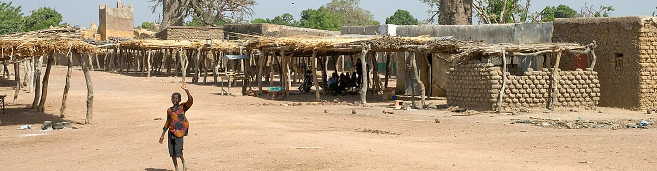Mali – The Pragmora Institute for Peace and Democracy
